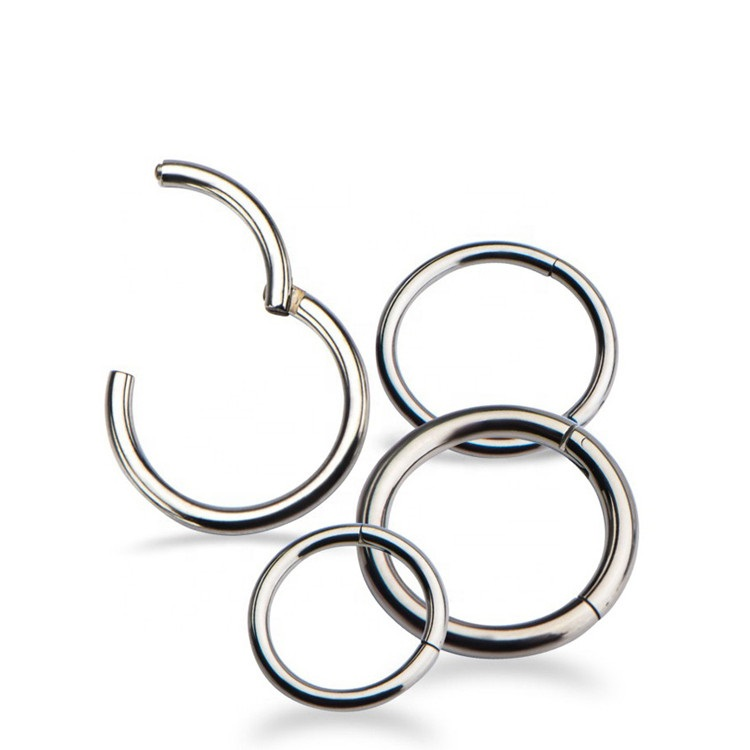 Hinged Rings – West Coast Body Jewelry