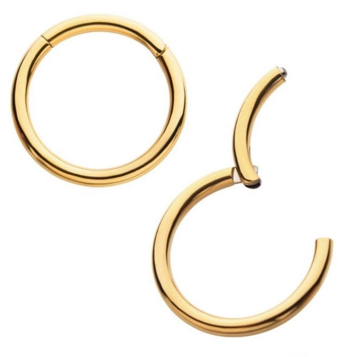 Hinged Rings – West Coast Body Jewelry